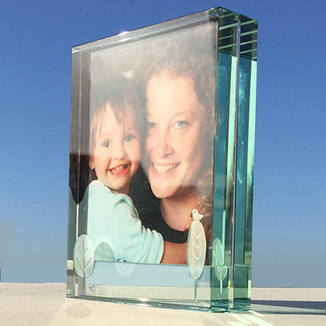 Sandblasted Trees | Glass Photo Frames | Spaceform