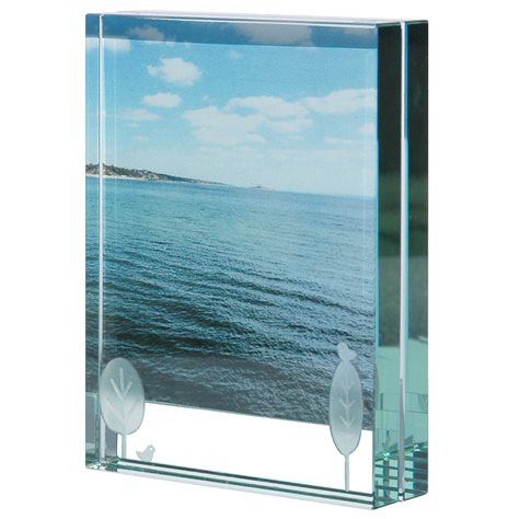 Sandblasted Trees | Glass Photo Frames | Spaceform