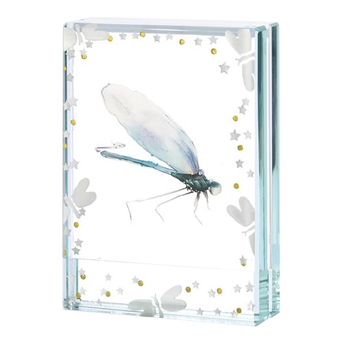 Glass Photo Frame with Dragonflies and Stars by Spaceform